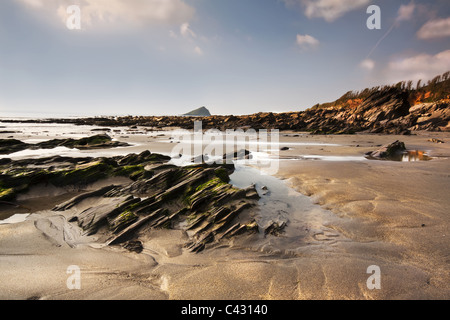 The Great Mewstone Rock Island, Wembury, Devon, UK Stock Photo - Alamy