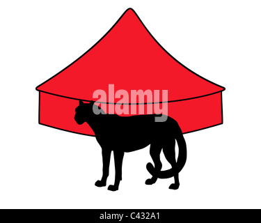 cheetah in circus Stock Photo - Alamy