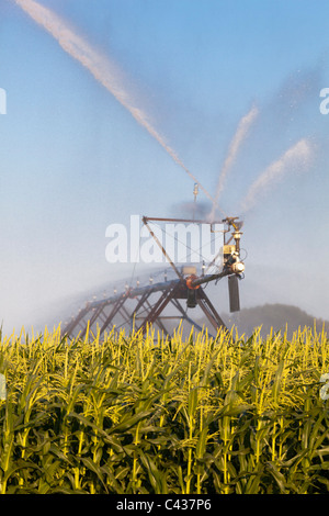 Spray irrigation in Willamette Valley Oregon USA Stock Photo - Alamy