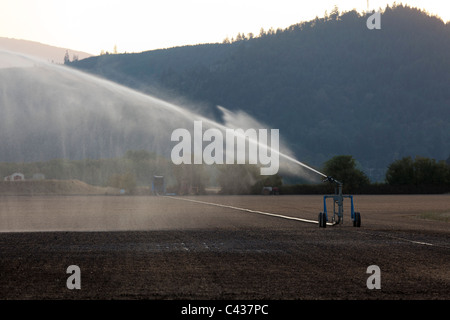 Spray irrigation in Willamette Valley Oregon USA Stock Photo - Alamy
