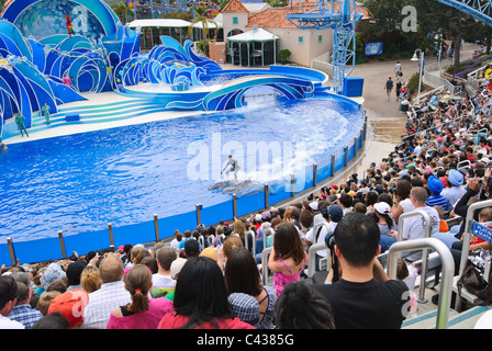 Dolphin Stadium, SeaWorld, San Diego, California, USA Stock Photo - Alamy