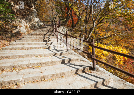 Asia, Korea, Gyeongju, Kyongju, Gyeongju National Park, Autumn, Fall ...
