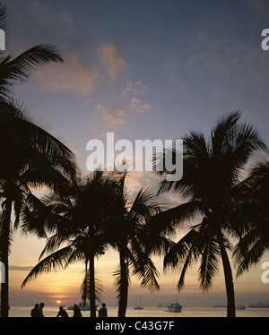 Manilla Bay / Palm Trees at Sunset, Manilla, Philippines Stock Photo ...