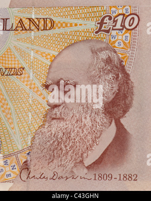 £10 Note Close Up showing the words "I promise to pay the bearer on ...