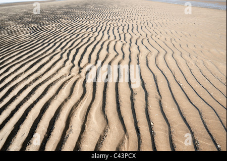 Sand ripples at low tide, Bridgewater Bay, Somerset Stock Photo - Alamy