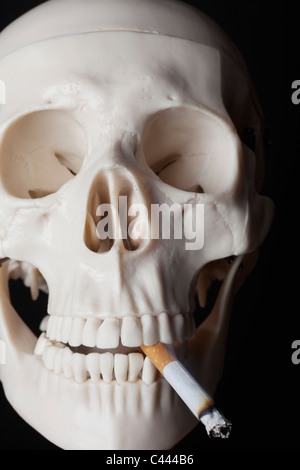 A vertical shot of a skeleton with a cigarette - smoking kills concept ...