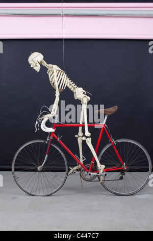 Human skeleton on a bicycle Stock Photo - Alamy