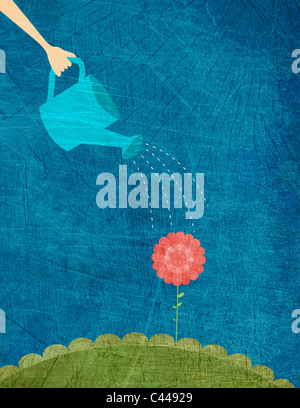 Hand Holding Water Can Watering Plants Growing Newest Project Ideas Ensuring Success. Palms ...