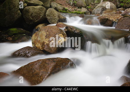 Douglas Brook along Bear Notch Road during the spring months in the ...