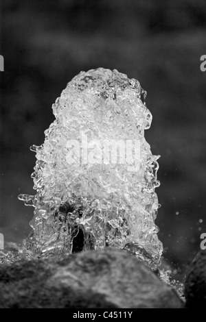 Spring with clear water gushing from the ground in a forest area Stock ...