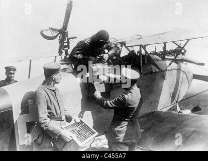 Use of carrier pigeons on the front in the First World War, 1918 Stock ...