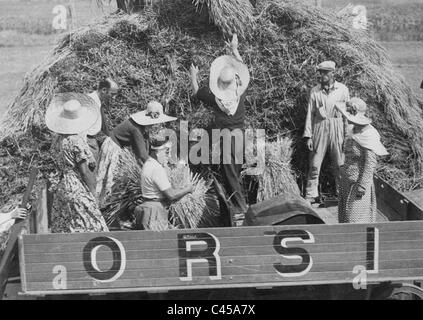 Benito Mussolini during the harvest, 1936 Stock Photo - Alamy