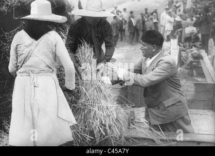 Benito Mussolini during the harvest, 1936 Stock Photo - Alamy