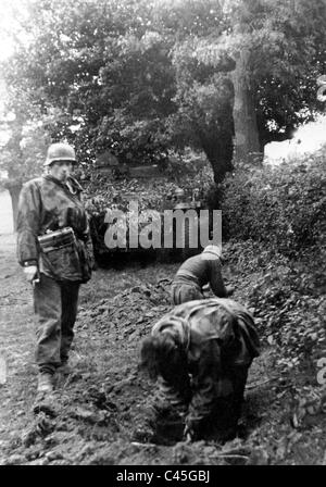 German infantry on the Western Front, 1944 Stock Photo - Alamy