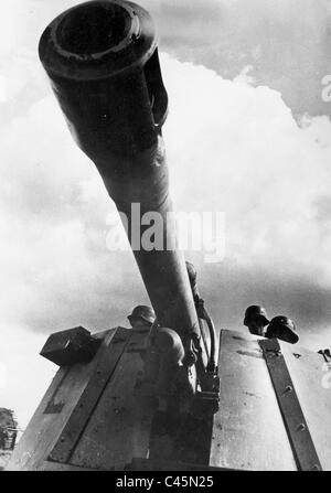 German 'Wespe' artillery self-propelled guns Stock Photo - Alamy