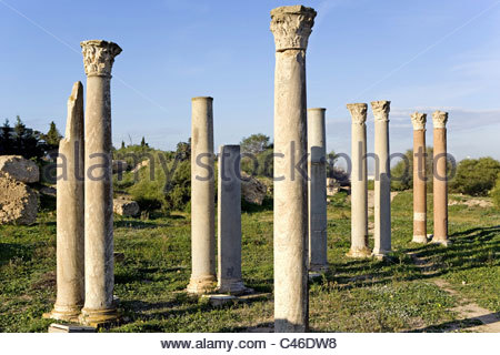 Sanctuary of Tophet, Carthage Tunisia Stock Photo: 16949472 - Alamy
