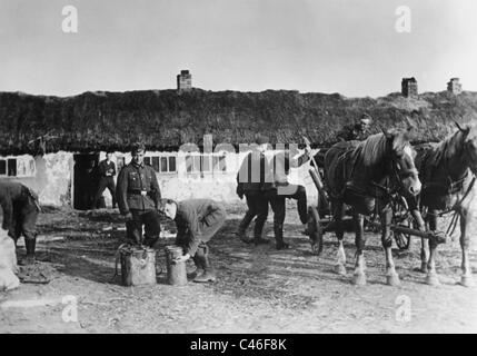 Second World War: Field Rations at German Wehrmacht Stock Photo - Alamy