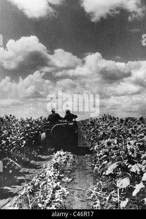 Second World War: Kuban River Front, 1942 - 1943 Stock Photo - Alamy
