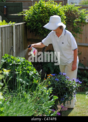 Female gardener spraying plants with doff Systemic Fungus Control UK ...
