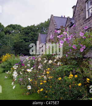 Cambo Village, Cambo, Northumberland Stock Photo - Alamy