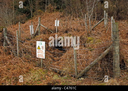 Cyffty Lead Mine, Snowdonia, north Wales Stock Photo - Alamy