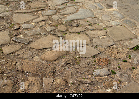 Bethersden marble footpath Stock Photo - Alamy
