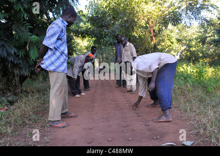 Bao (mancala) game, Tanzania, Africa Stock Photo - Alamy