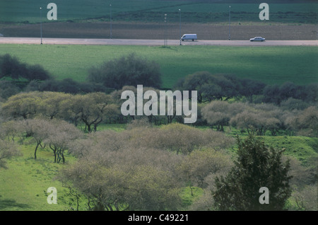 Aerial photograph of Tel Shimron in the Lower Galilee Stock Photo - Alamy