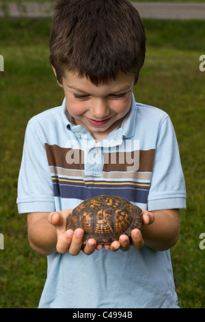 Young boy holding a turtle Stock Photo - Alamy