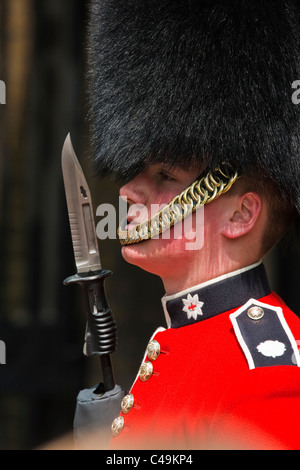 Coldstream guardsman on sentry duty outside Buckingham Palace. London ...