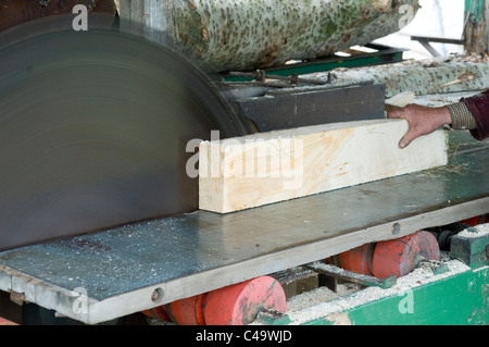 sawmill saw mill circular saws cutting wood dangerous equipment no ...