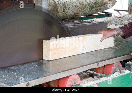 sawmill saw mill circular saws cutting wood dangerous equipment no ...