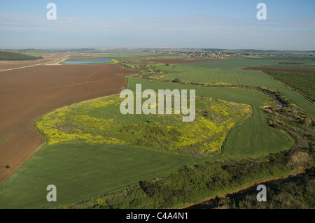 Aerial photograph of Tel Batash in the Plain Stock Photo - Alamy