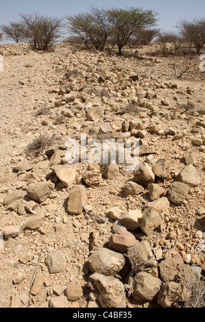 Amud ruins, Ancient city from 5th century BC, Boroma, Somaliland ...