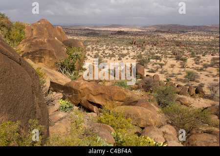 Scenery at the site of Dhagax Khoure, ancient rock-art, Somaliland ...