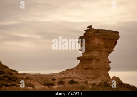 Monegros Steppes landscape. Aragon. Spain. Europe Stock Photo - Alamy