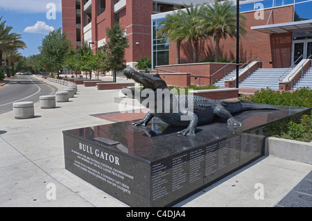 Bull Gator statue on Bull Gator Plaza in front of the Heavener Football ...
