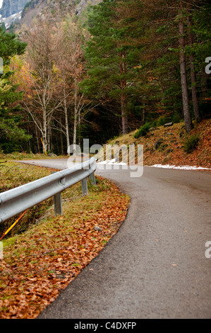 Autumn forest in Aragüés del Puerto, Huesca, Pyrenees, Spain Stock ...