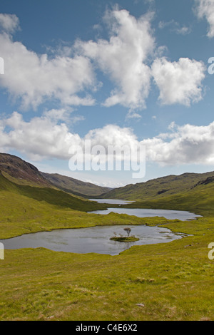View of the three lochs on the Isle of Mull Stock Photo - Alamy