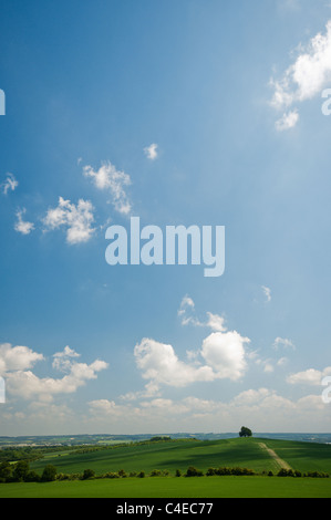 View at Wittenham Clumps Stock Photo - Alamy