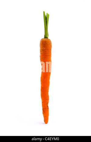 Single carrot isolated over white background Stock Photo - Alamy