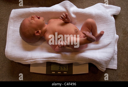 Weighing a newborn / new born baby with weighing scales / scale soon ...