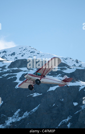 A Piper Super Cub bush plane along a river bed in the Yakutat District ...