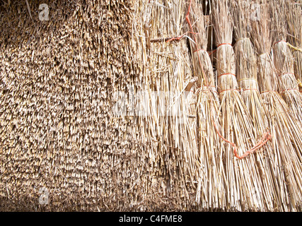 Section through a thatched roof, showing the layers and structure, with ...