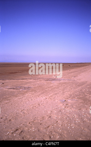 Mersehead Sands, Dumfries & Galloway, Scotland Stock Photo - Alamy