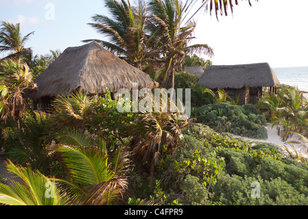 huts at palm beach, Mexico, Tulum Stock Photo - Alamy