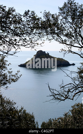 Thatcher Rock. Torquay Stock Photo - Alamy