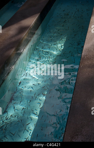 Fish holding tank Madeira Stock Photo - Alamy