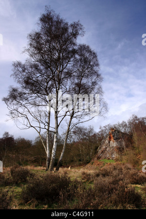 Habberley Valley Nature Reserve, Kidderminster, Worcestershire, England ...