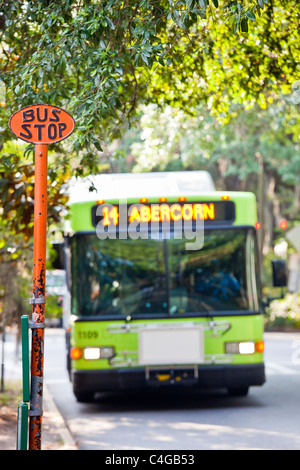 Bus stop in Savannah, Georgia Stock Photo - Alamy